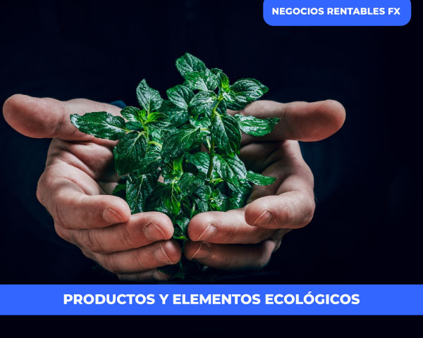 Productos y elementos ecológicos:¿ Es una opción rentable?
