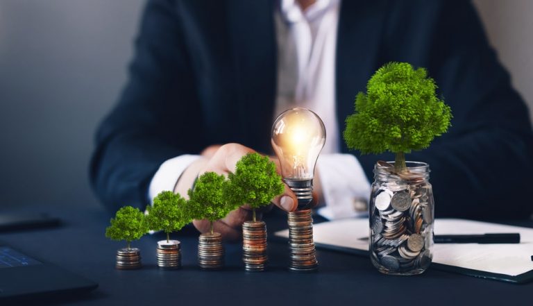 Tips para crear un negocio verde y exitoso - Ecología 2026