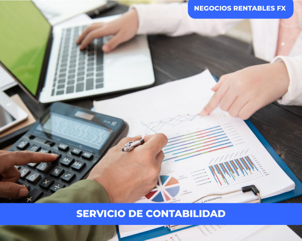 Servicio de contabilidad para empresas - Rentabilidad 2024